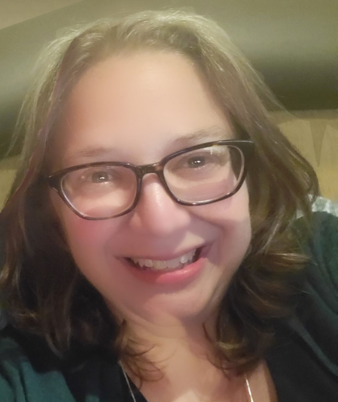 Meet the Board - Guilderland Central Schools