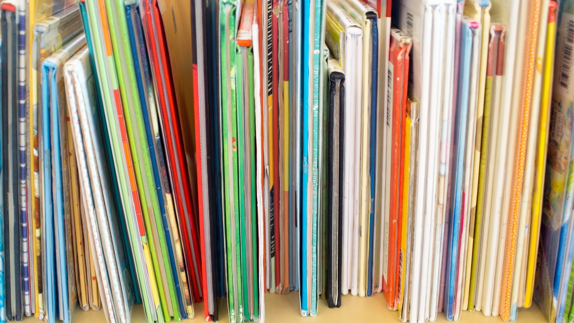 Guilderland community donates over 1,500 books for Project: Cameron's ...